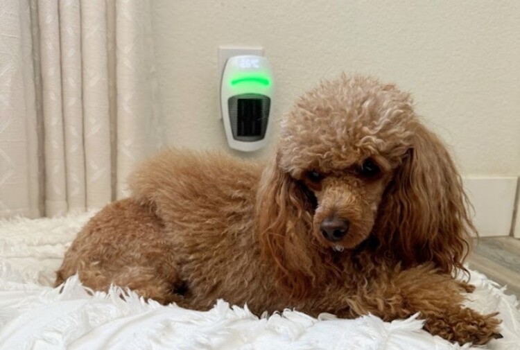 Cyber Heater